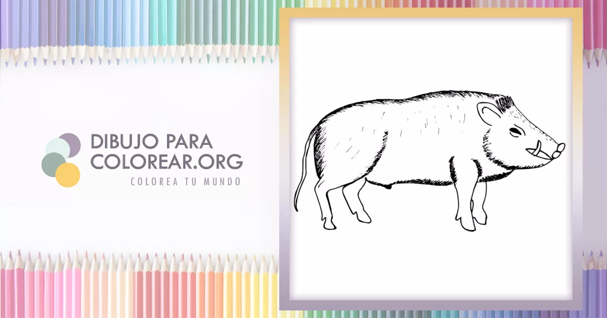 Jabali – Dibujoparacolorear.org